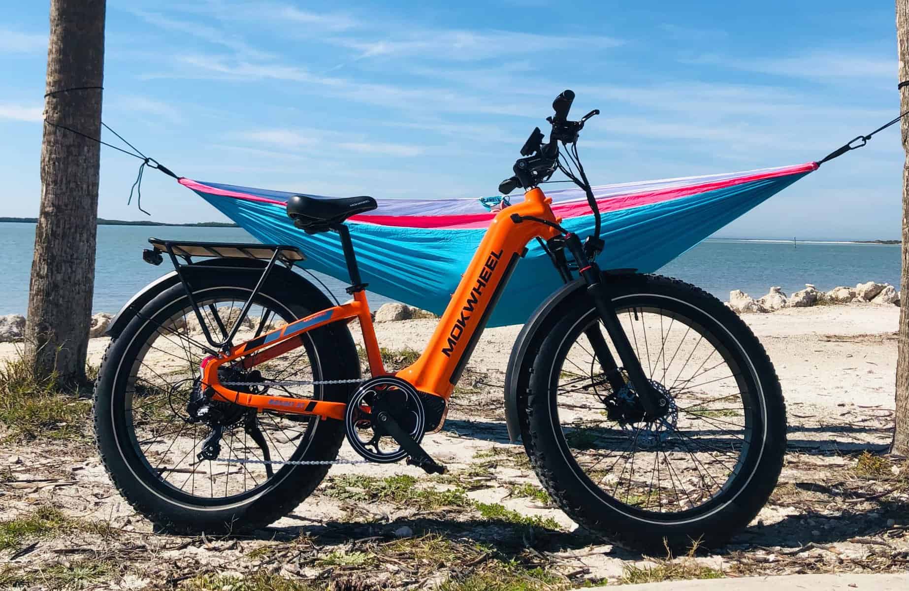 Mokwheel Basalt ST 2.0 eBike Review: Fun and fast bike for errands and commuting ...